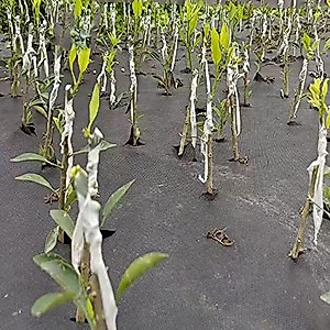 damotec Grafting Tape Grafting Film for Plants, 3 Pack Stretchable Garden Grafting Tape Plants Repair Budding Tapes for Floral Fruit Tree and Poly Budding Tape