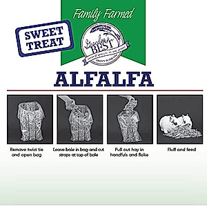 Grandpa's Best Alfalfa Hay, 5 lbs