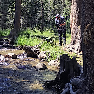 SLIK PRO 330SVH Aluminum Tripod with SVH-501 Compact Fluid Video Head for Mirrorless/DSLR Sony Nikon Canon Fuji Cameras and More - Black (613-354)