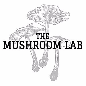 Mushroom Liquid Culture - King Oyster (Pleurotus eryngii)