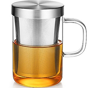 Ecooe 16.9 Oz Borosilicate Glass Tea Mug Cup Tea Glasses with Stainless Steel Infuser & Lid, Loose Leaf Glass Tea Cup Teacup 500mL