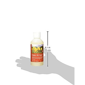 Hilton Herbs Ezee Arnica Gel for Knocks & Bruises, 250ml Bottle