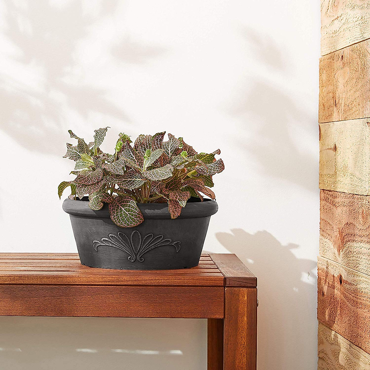 Arcadia Garden Products TA25DC Bulb Pan, 10"x3.5", Dark Charcoal