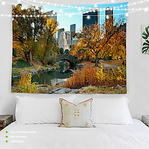BaoNews Autumn New York City Tapestry, Central Park in New York City Large Wall Hanging Tablecloths Mural Home Decoration Psychedelic Tapestry Bedroom Living Room Dorm 51.2 x 59.1 inches(Garden)