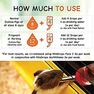 OASIS #80254 Vita Drops-Pure C for Guinea Pig, 2-Ounce, Packaging may vary