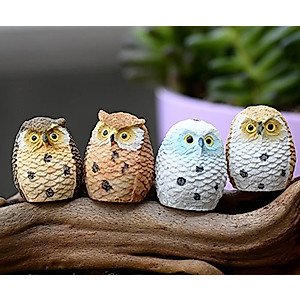 Miraclekoo 8 Pcs Mini Resin Owls Miniature Figurines Fairy Garden Owl Ornament for Dollhouse, Plant Pot, Micro Landscape, Bonsai Craft Decor