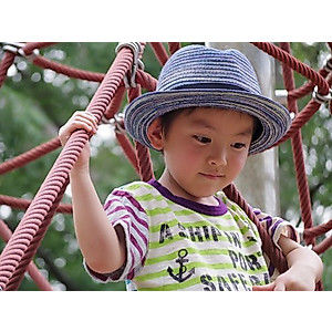 Pentax Q7 (Black) Zoom Lens Kit with 02 Standard Zoom 5-15mm f/2.8-4.5 - International Version (No Warranty)