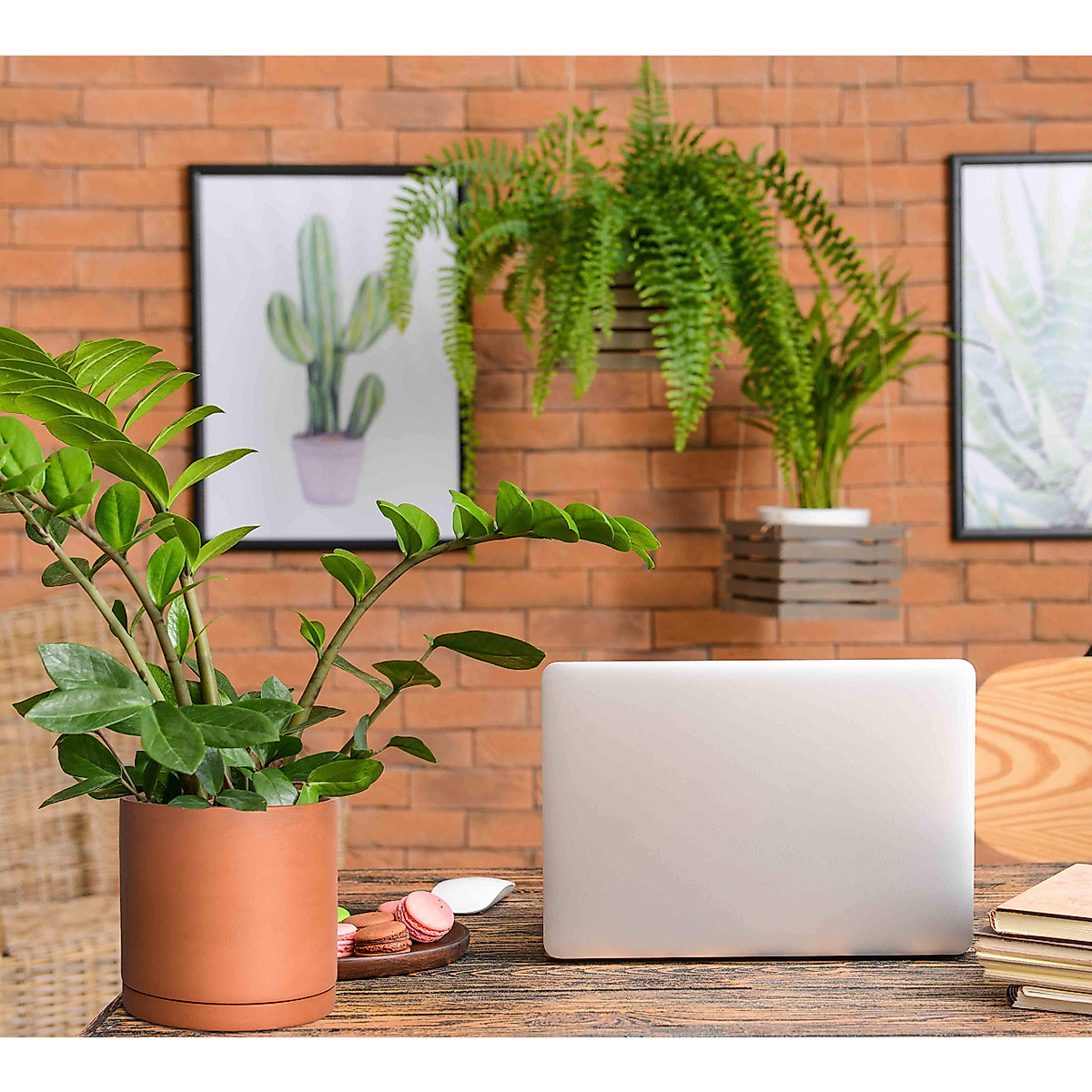 D'vine Dev Medium 8 Inch Terracotta Plant Pot with Drainage Hole and Saucer, Round Cylinder Planter Pot for Indoor Plants, 40-X-A-4