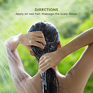 Yves Rocher Repair Balm Shampoo | Cleanse & Restructure Damaged Hair | 10.1 fl oz