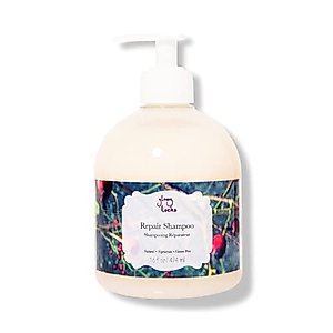 100% PURE Glossy Locks Repair Shampoo Natural Hair Care Moisturizing Detox for Dry Damaged Strands with Biotin & Argan Oil Restoring Shampoo for Women & Men - 16 Fl Oz
