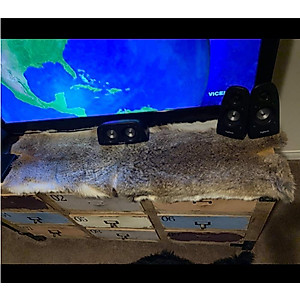 Natural Tanned Rabbit Fur Hide (10" by 12" Rabbit Pelt with Sewing Quality Leather)