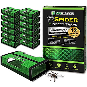 MaxGuard Spider + Insect Traps (12 pcs Box Trap) | Non-Toxic Extra Sticky Glue Traps , Kill Black Widow Hobo Brown Recluse Spiders and Other Crawling Bugs & Insects |