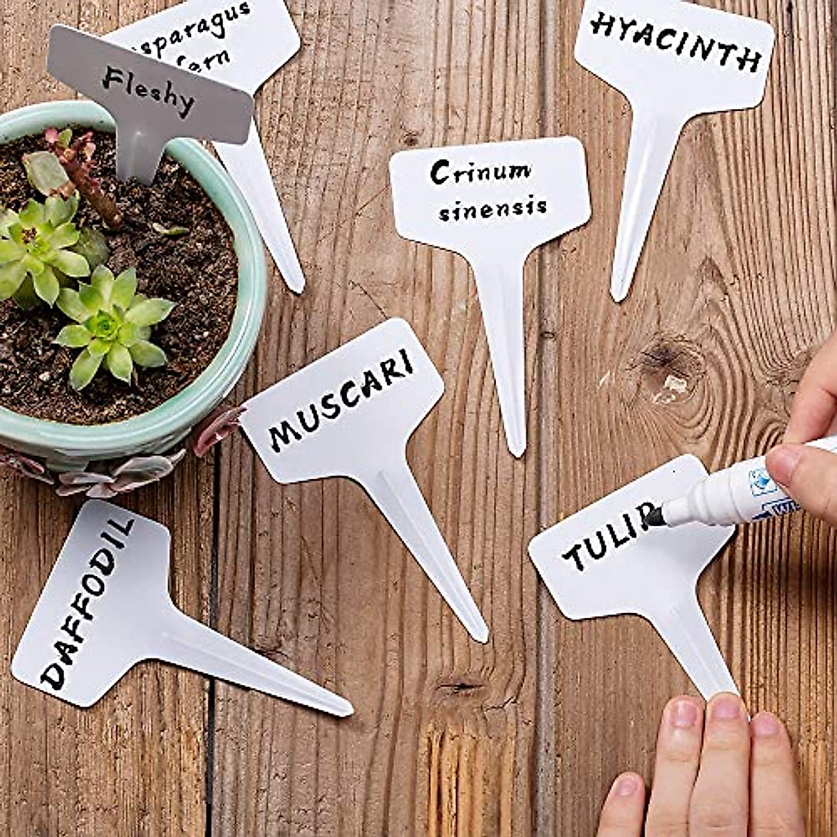 100Pcs Plastic Plant Labels, T-Type Tags Waterproof Re-Usable Nursery Garden Label for Flower Vegetables Herb Signs, White