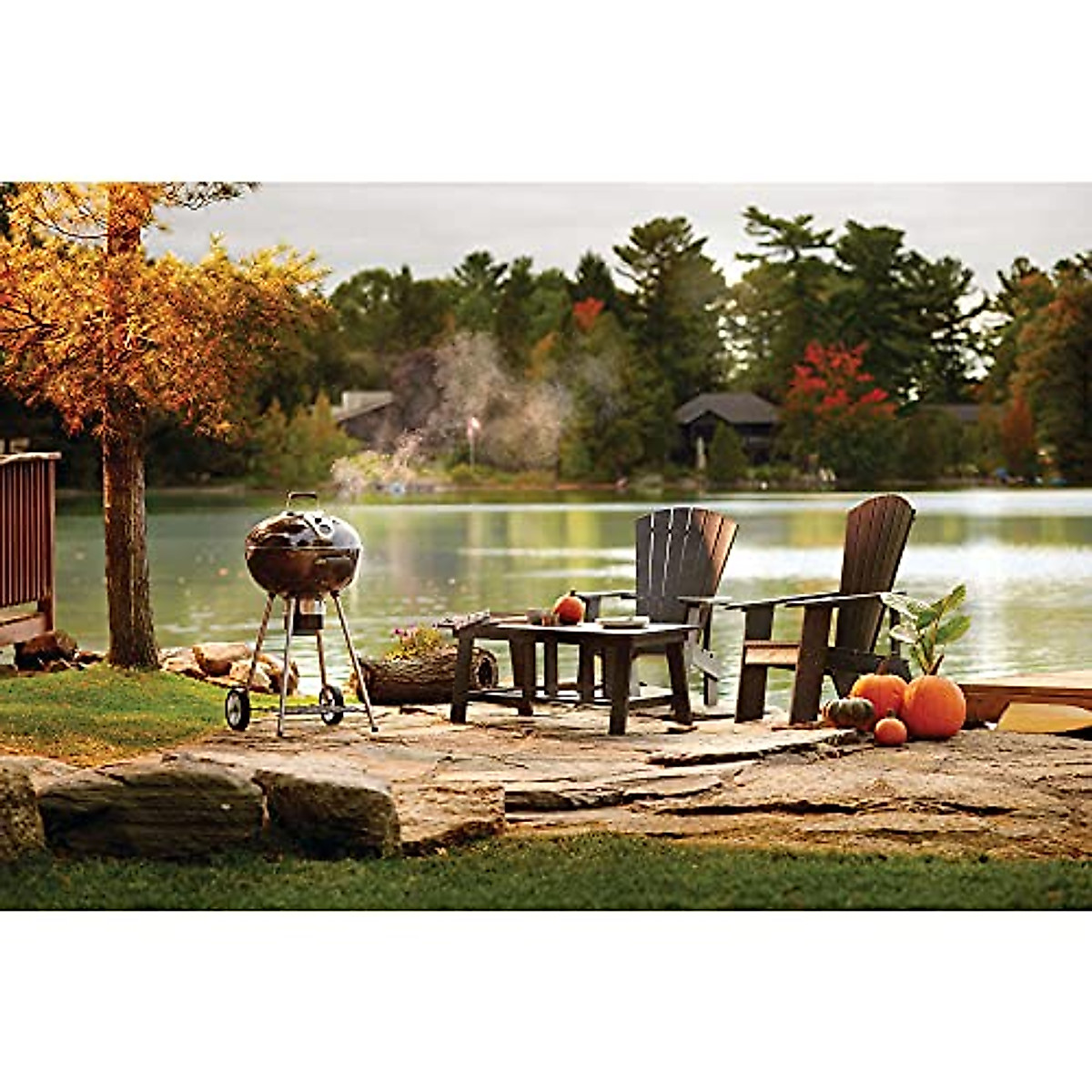 Napoleon NK22K-LEG-2 Built in Grills, Black