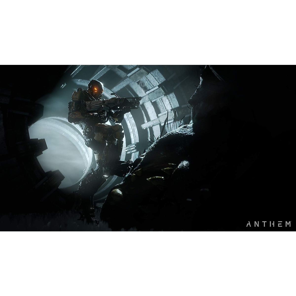 Anthem - Standard - PC