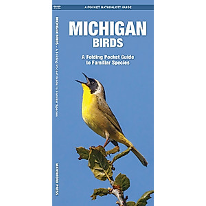 Michigan Birds: A Folding Pocket Guide to Familiar Species (Nature Observation North America)