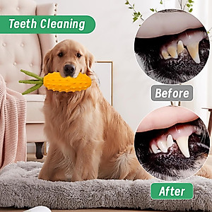 LIFLIX Squeaky Dog Toys, Durable Dog Chew Toys, Strong Tough Dog Toy with Natural Rubber, Teething Chew Toys for Small Medium Large Dogs, Kiwano Horned Cucumber Shape