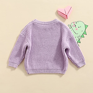 Autumn Winter Warm Outfits Baby Girl Cute Long Sleeve Knitted Sweater Pullover Top(Light Purple,2-3T)