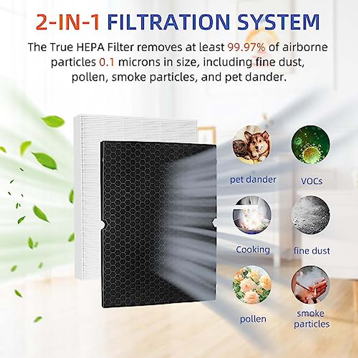 116130 Replacement Filter H for Winix 5500-2 Am80 Plasmawave Air Purifier True HEPA Carbon Filter, 2 Set