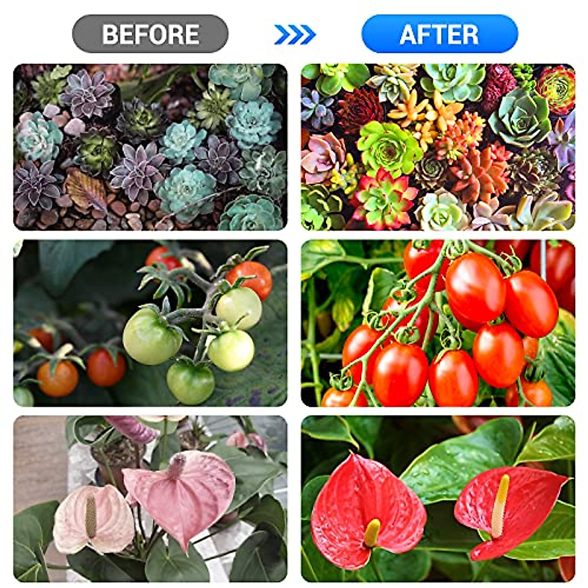 LED Grow Lights Strips for Indoor Plants, 3 Working Modes & 10 Dimmable Levels Plant Lights with Auto Cycle Timer 3/9/12Hrs, 36W Full Spectrum DIY Growing Lamps for Seedings Hydroponics, 6 Strips