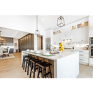 Diamond Brite Paint Kitchen & Bathroom 1 Gallon White Semi Gloss Latex Paint 40500-1