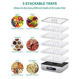 Reemix Food Dehydrator Machine, Compact Dehydrators for Food and Jerky, Fruits, Veggies, 500W Dehydrated Dryer with Temperature Control, 5 BPA-Free Trays Dishwasher Safe, Silver