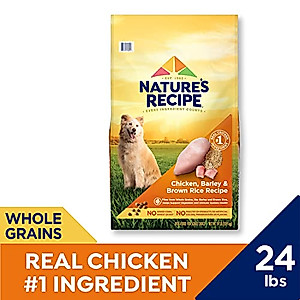 Nature′s Recipe Chicken, Barley & Brown Rice Recipe Dry Dog Food, 24 lb. Bag