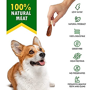 Dog Calcium Bones Wrapped Chicken & Rawhide Free Chew Treats - Pet Healthy Dried Snacks & Grain Free Organic Meat - Bulk Best Chews for Christmas, Training Small & Large Dogs - Made for USA