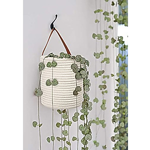 Goodpick Woven Hanging Rope Basket Set (Set of 2)