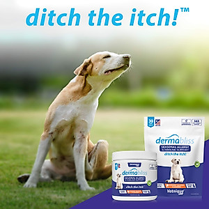 Dermabliss Allergy Chews 30ct and Glandex Anal Gland Support Chews 60ct Bundle Dog Vitamins & Supplements, Anal Gland Dog Treats with Probiotics, Dog Allergies Skin Treatment Soft Chew