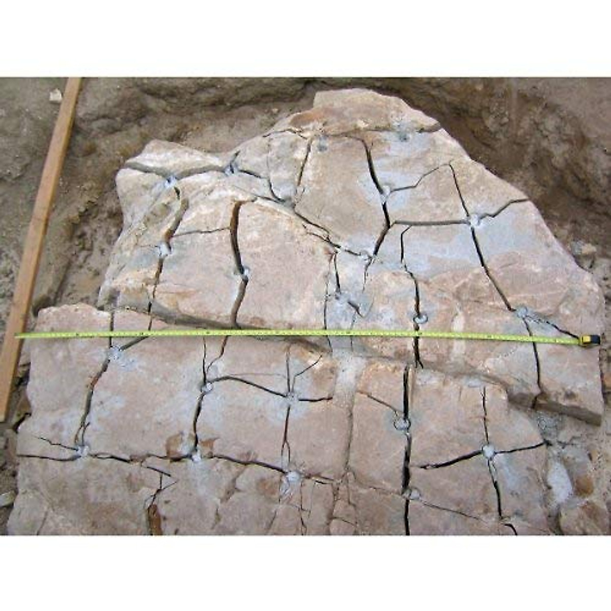 Dexpan Expansive Demolition Grout 44 Lb. Bucket for Rock Breaking, Concrete Cutting, Excavating. Alternative to Demolition Jack Hammer Breaker, Jackhammer, Concrete Saw, Rock Drill (DEXPAN44BKT2) (50F