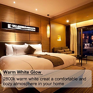 Rnyloas GU4 Halogen 5W, 6 Pack GU4 Base MR11 12V 5W, Long Lasting GU4 MR11 Dimmable with Glass Cover, MR11 Warm White 2800K Fiber Optic Light Bulb, MR11 Bulb with GU4 /GZ4 Bi Pin Base