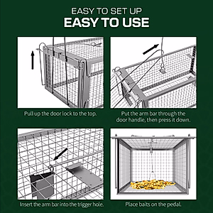 Live Animal Trap Cage - 12.5" x 6.5" x 5.5" Humane Rat Trap, Chipmunk Trap, Squirrel Trap, Rodent Trap - Catch and Release - Heavy Duty Reusable No Kill Live Trap for Small Critters - Indoor/Outdoor