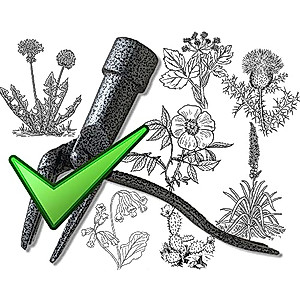 Aurbar Hand-Weed-Puller-Tool-Stand-up-Heavy-Duty Weed-Puller-Stand-Up-Weeder-for-Garden - Without Bending or Kneeling - Cast Iron + Anti-Rust Coating - Silver Gray（NO Pole）