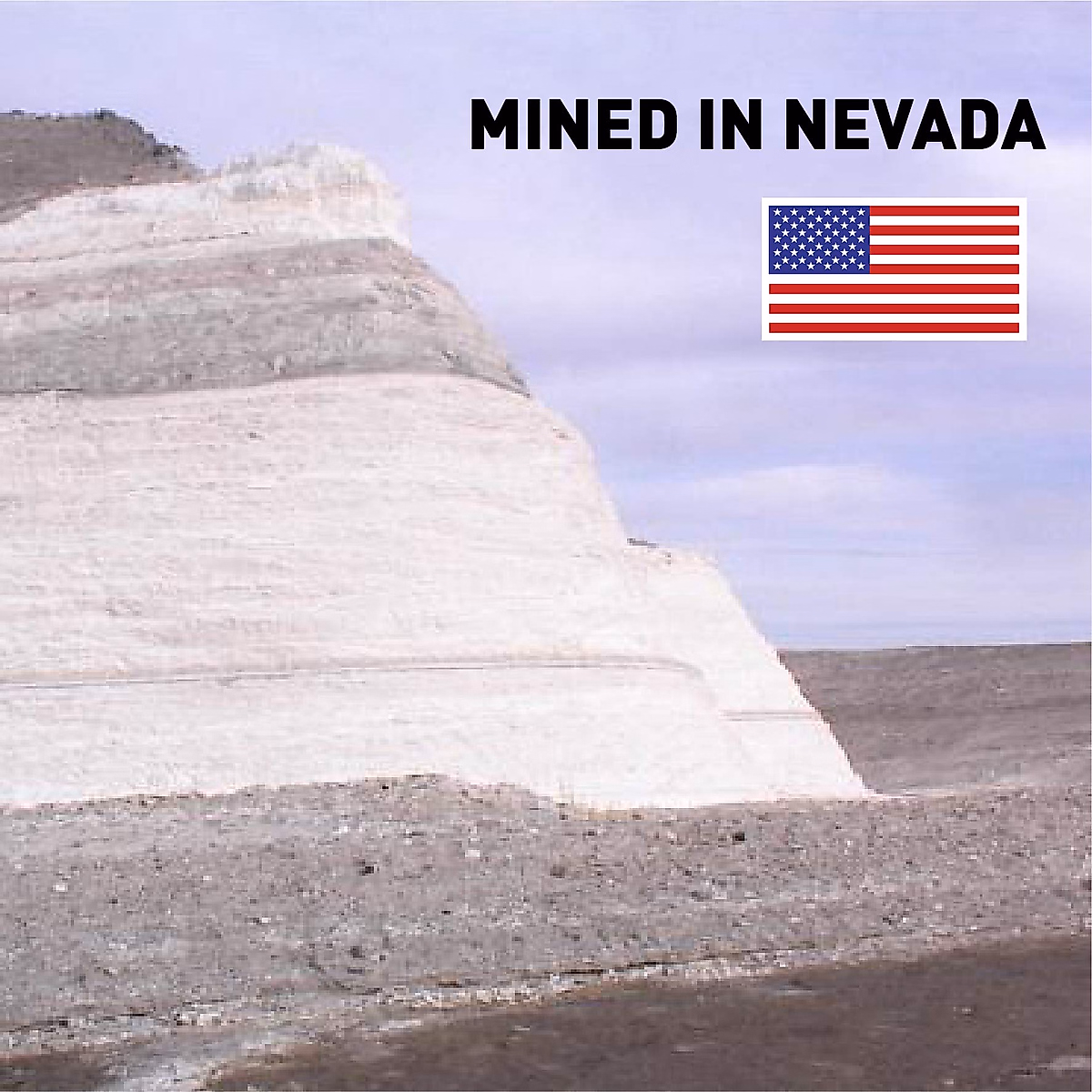 EasyGoProducts Diatomaceous Earth - 100% Natural Food Grade - DE Fresh Water - 1.25 Pounds (EGP-DE-01)