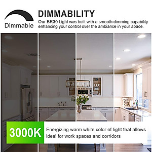 BR30 Led Flood Light Bulbs, 12W(100W Equivalent), 3000K Warm White, 1200 Lumens, Dimmable R30 LED Bulb, E26 Base Recessed Can Light Bulb, (4 Pack)