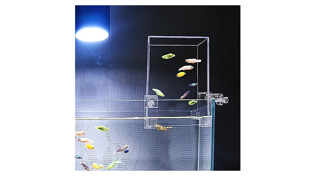 NANEEZOO Negative Pressure Fish Tank - Unique Fish Elevator & Aquarium ...