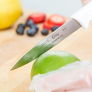 Paring Knives Set Of 3 White Handle 3.25 inch Paring Dishwasher Safe Fruit Choice Pairing Knife, Small Piece Kitchen knive pack sharp professional pairing knive pack, kiwi knife, mini