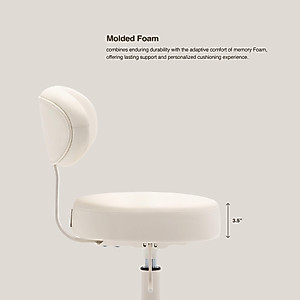 DR.LOMILOMI Swivel Rolling Hydraulic Height Adjustable Stool 503 for Clinic Nursing Spas Beauty Salons Dentists Home Office (Standard, with Backrest, Black)