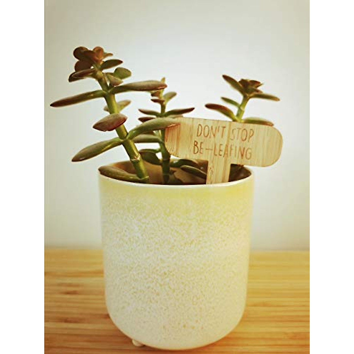 Funny Plant Markers - Joke Punny Garden Stakes - Ideal for That Garden Lover - Indoor Outdoor Plant Label Sign Markers (Joke Set)