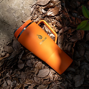 Ideus 32 oz Tumbler with Handle and Straw, 100% Leakproof Insulated Tumbler with Lid and Straw, Gifts for Teens Women Men, Cup Holder Friendly (Gray)