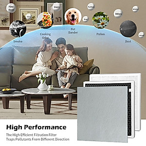 XBWW 2 Packs IC-5018 IC-5120 Replacement Filter for InvisiClean Aura IC-5018, Aura II IC-5018 and Sensa IC-5120 Air Cleaner Purifiers, 4 in 1 filter with H13 True HEPA,Activated Carbon Filter