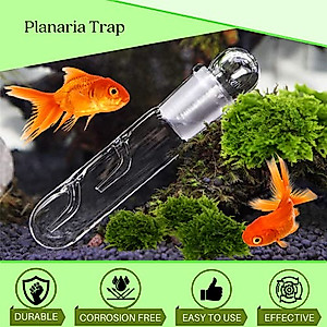 Aquarium Supplies Planaria Trap Crystal Red Shrimp Tank Aquarium Bristle Worm Catcher, Shrimp Dwarf Shrimp Ghost Shrimp Live Freshwater Cleaning Supplies Clear Glass Leeches Catching Tube (3 Holes)