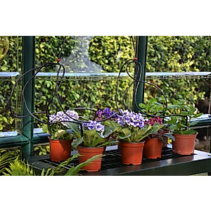 Rion Palram - Canopia 2-Tier Greenhouse Work Bench, Dark Green, 31.4''Lx15.7''Wx33.4''H