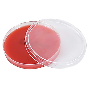 Blood Agar Plate, 5% Sheep Blood in Tryptic Soy Agar (TSA) Base, EH (Enhanced Hemolysis), 15x100mm Plate, Order by The Package of 10, by Hardy Diagnostics
