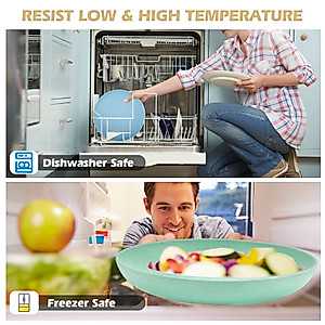 PTNITWO Lightweight Wheat Straw Plates,Plastic Plates Reusable,Unbreakable Deep Dinner Plates, Assorted Colors Dinnerware Sets,Dishwasher Safe