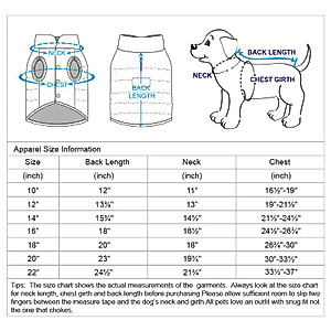 Blueberry Pet 2023 New Cozy & Comfy Windproof Waterproof Quilted Fall Winter Dog Puffer Jacket in Rusty Orange, Back Length 12", Size 10", Warm Coat for Small Dogs