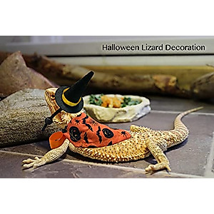 Vehomy 4Pcs Halloween Bearded Dragon Witch Costume Bearded Dragon Witch Hats Lizard Bandanas with Pumpkin Candy Pattern Lizard Wizard Hat Lizard Pumpkin Scarf Outfit for Hamster Leopard Gecko