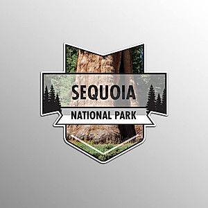Sequoia National Park Magnet | 4.7-Inch by 4.5-Inch | 2-Pack | 30 MIL Heavy Duty Magnetic Material | MPD961