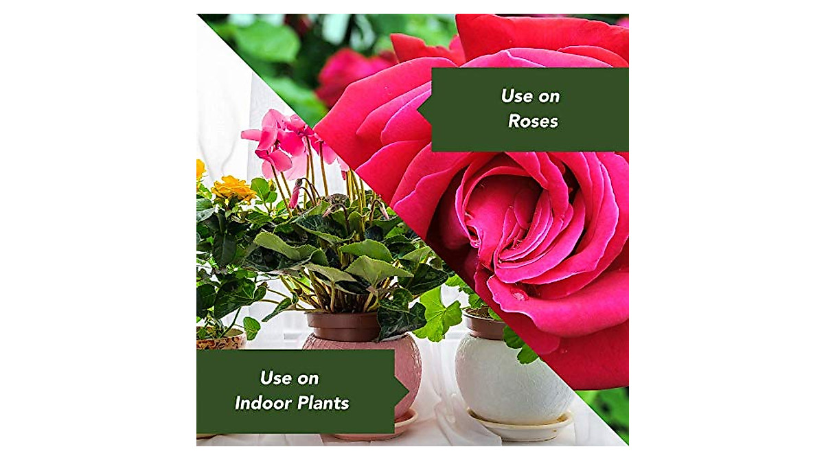 BioAdvanced Insect Control Spikes for Healthy Plants